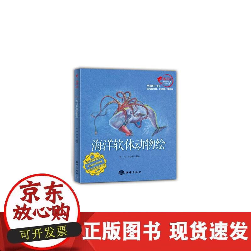 【现货】海洋软体动物绘