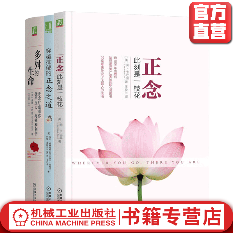 官网 卡巴金心理学作品集套装全3册 正念 此刻是一枝花+多舛的生命+穿越抑郁的正念之道 正念减压心灵疗愈心理学书籍