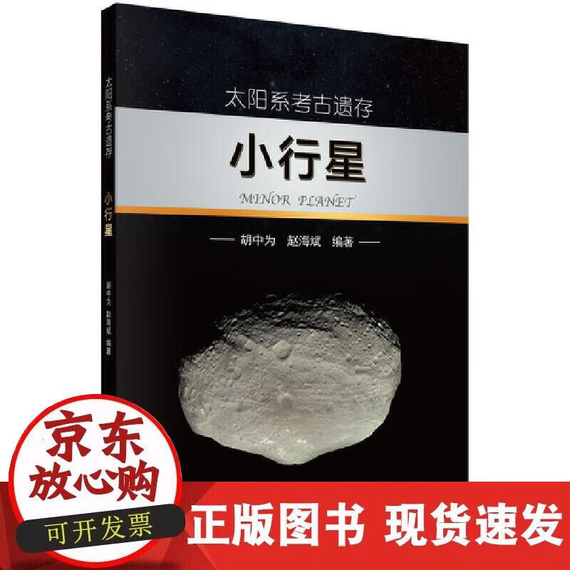 【现货】太阳系考古遗存：小行星