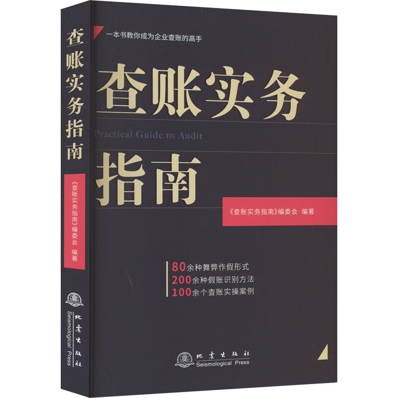 查账实务指南 图书