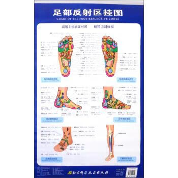 足部反射区挂图 北京科学技术出版社 编