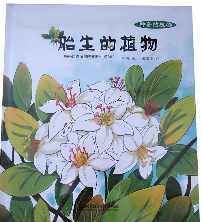 神奇的植物:胎生的植物