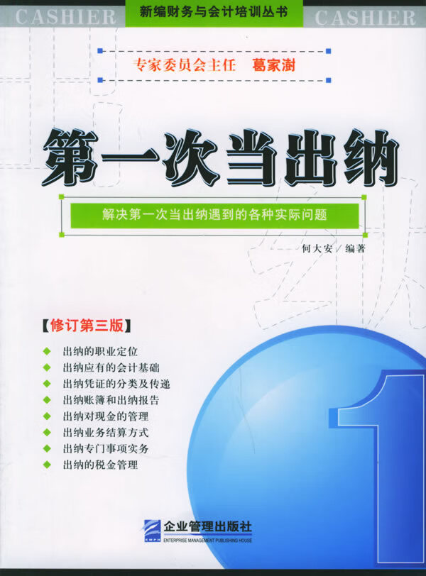 次当出纳 何大安 编著