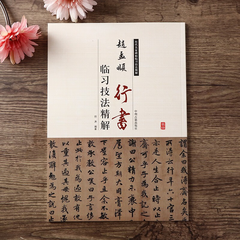 赵孟頫行书临习技法精解 历代名家碑帖 后赤壁赋 千字文 止斋记 赵体书法入门教程
