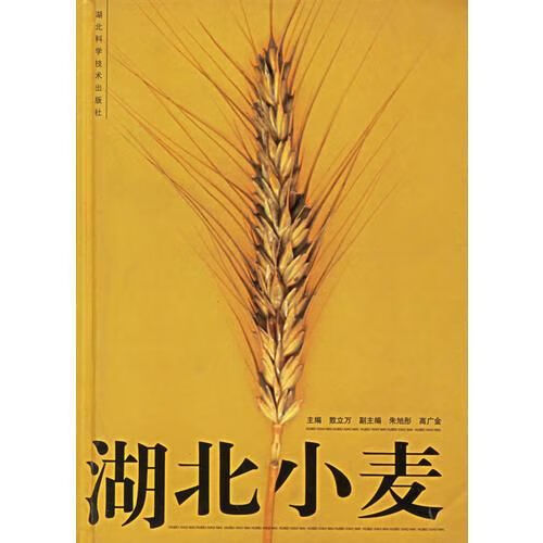 湖北小麦9787535227683湖北科学技术出版社