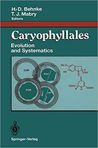 Caryophyllales