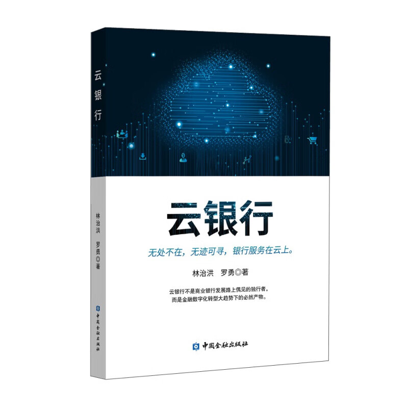 云银行 林治洪 等 著 中金融出版社