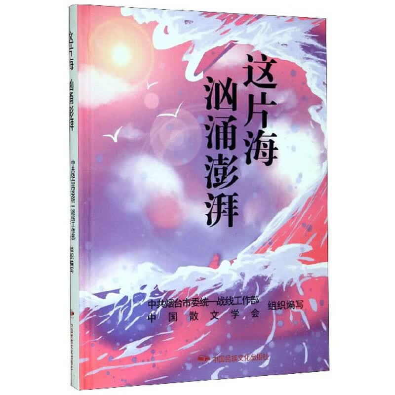 这片海汹涌澎湃【好书】