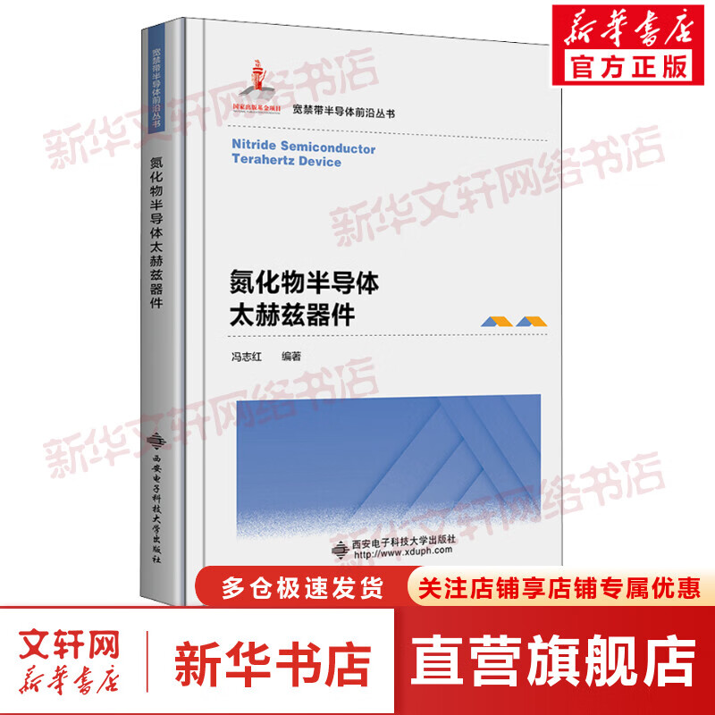 氮化物半导体太赫兹器件 图书