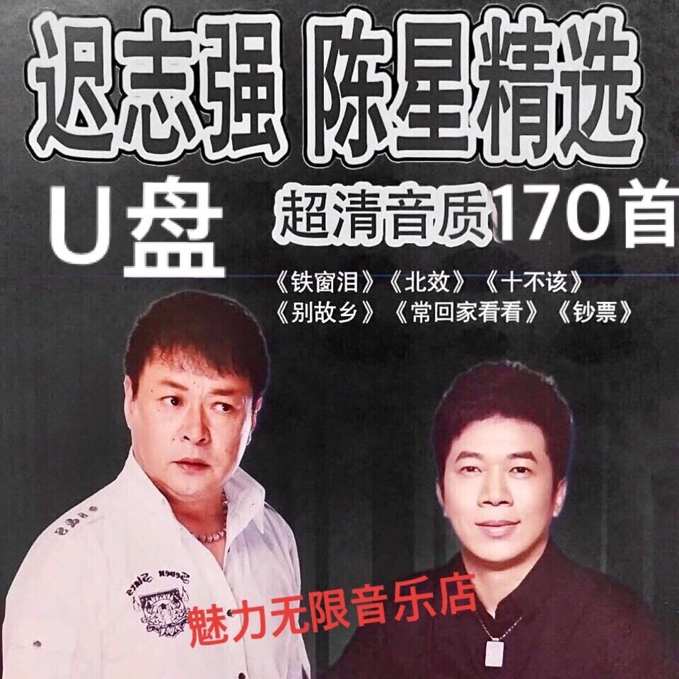 迟志强/陈星专辑歌曲歌曲铁窗泪/十不该 16GB