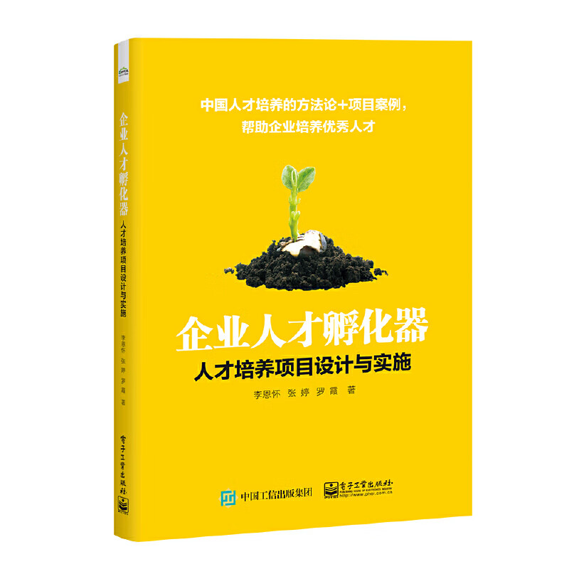 企业人才孵化器：人才培养项目设计与实施