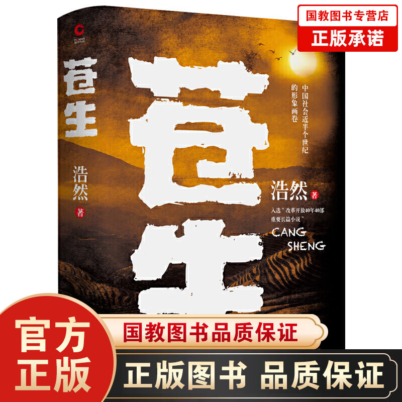 苍生（比肩《平凡的世界》的 现实主义长篇巨制）