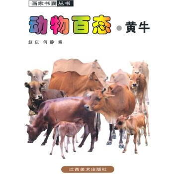 动物百态·黄牛 赵庆,何静 著