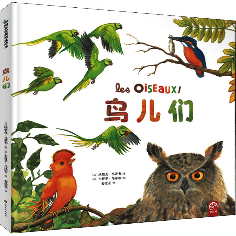 鸟儿们