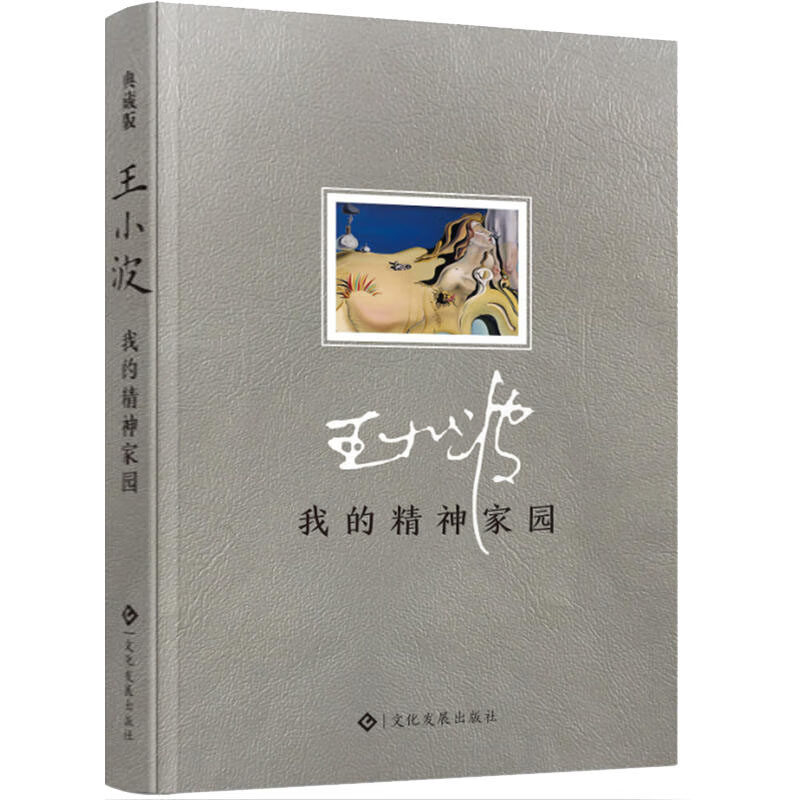 精装 王小波时代三部曲 黄金时代+白银时代+青铜时代+黑铁时代插图精装典藏版 畅销随笔现当代文学小说作品集 我的精神家园