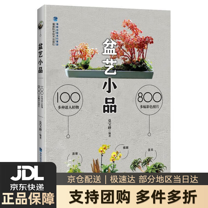 【 送货上门】盆艺小品
