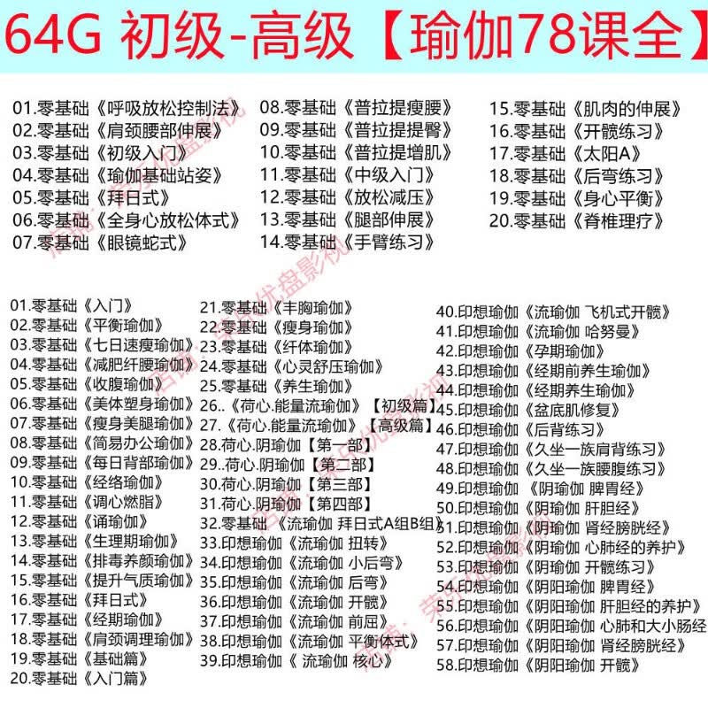 瑜伽教学课程U盘64G 自学零基础初级中级教程MP4优盘 64G 瑜伽(全教程78课)