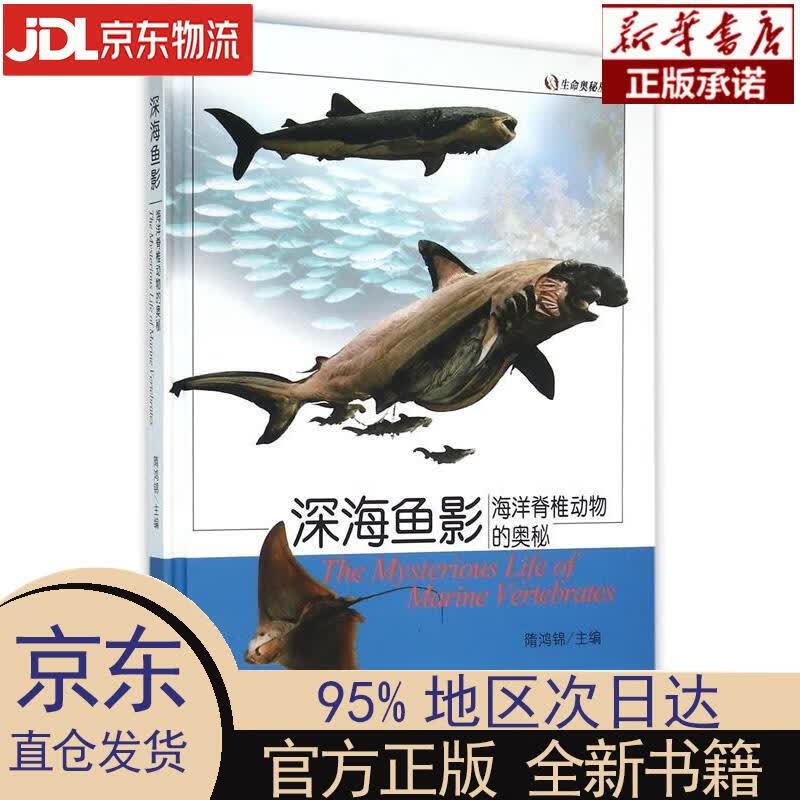 深海鱼影海洋脊椎动物的奥秘 隋鸿锦 编 科学出版社