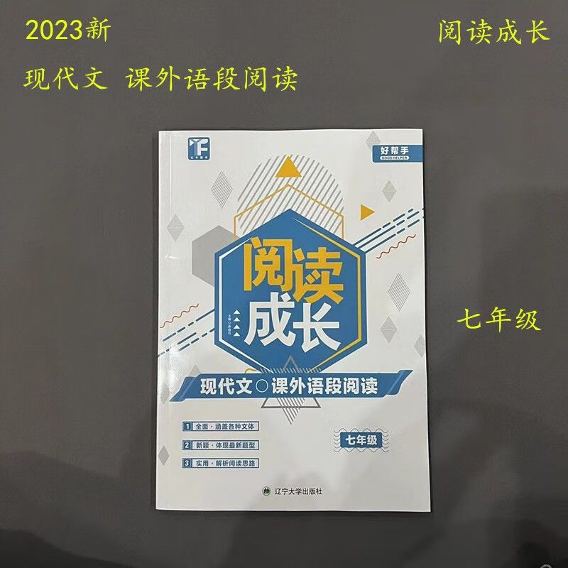 2023新版亿丰成长现代文课段