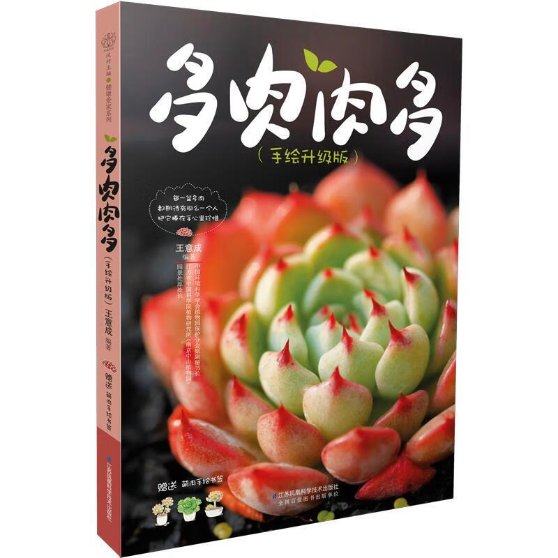 多肉肉多-