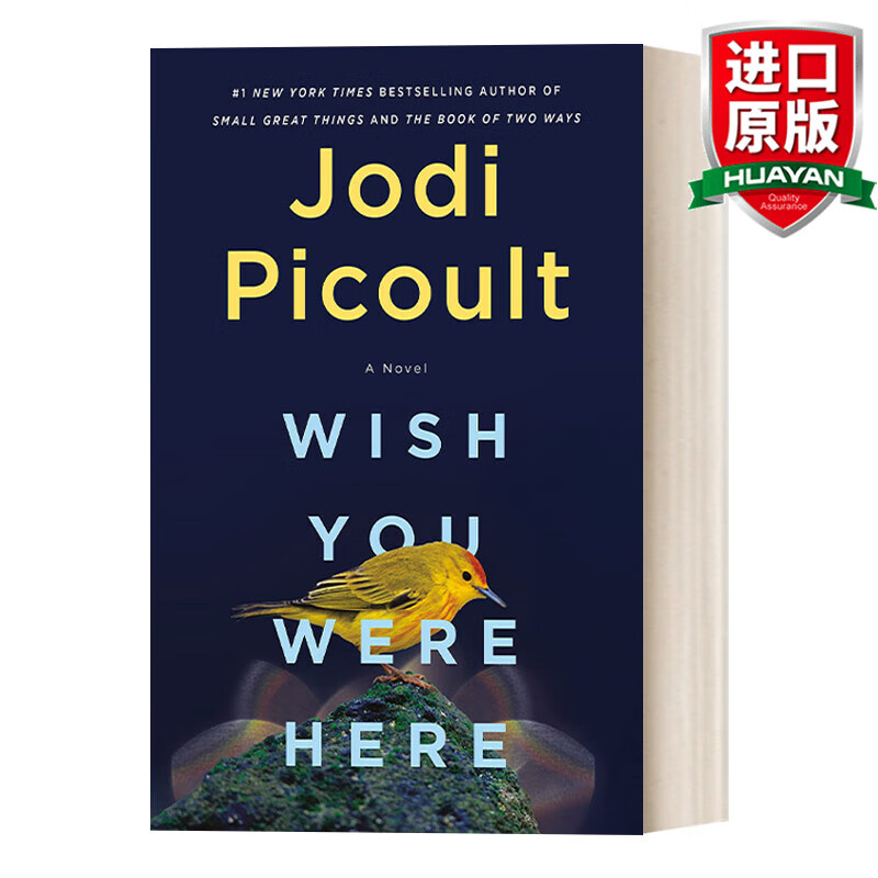 Wish You Were Here 英文原版 希望你在这里 当代女性小说 纽约时报畅销书 Jodi Picoult 英文版 进口英语原版书籍