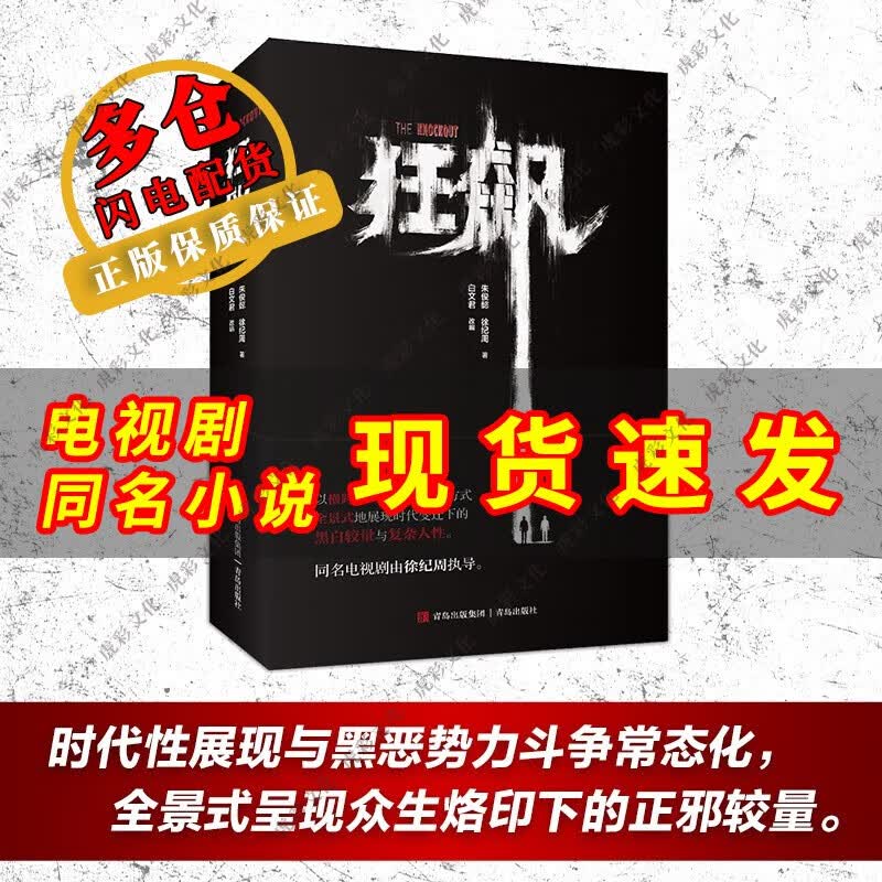 【现货包邮】狂飙(影视同期) 热播电视剧 同名小说 徐纪周导演 张颂文 张译 李一桐 主演 高启强