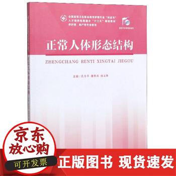 【直发】 正常人体形态结构 孔令平,康照昌,张义伟 编 9787568055758 华中科技大学