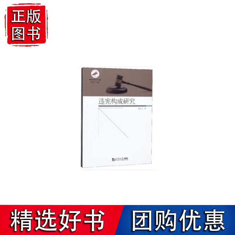 违宪构成研究