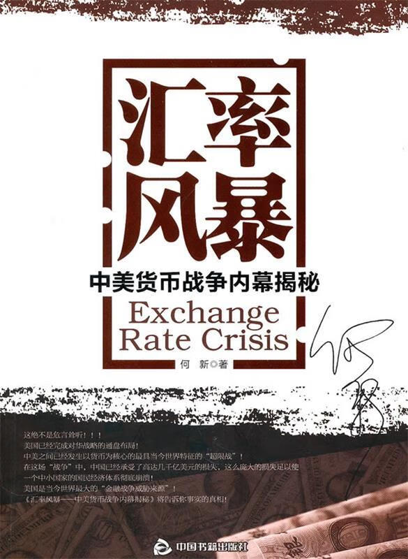 汇率风暴 何新 著 中国书籍出版社