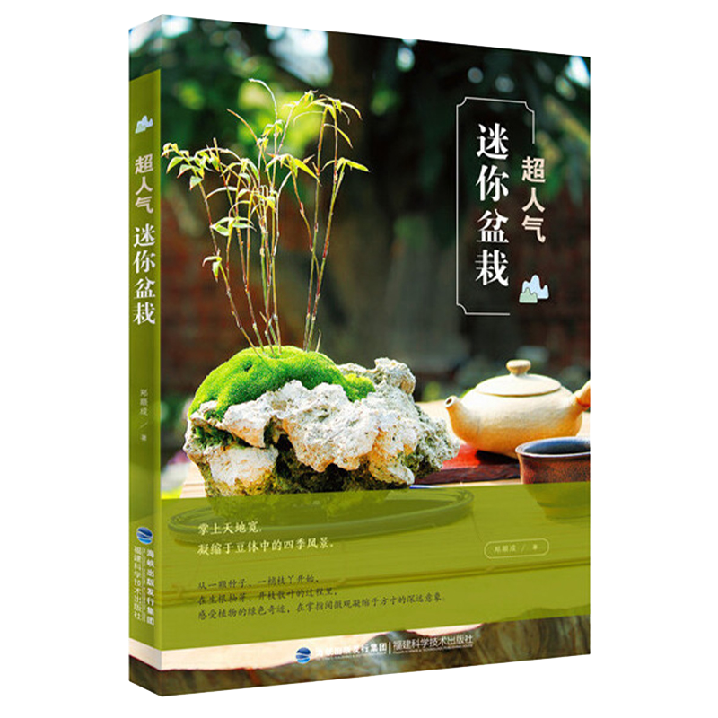 超人气迷你盆栽