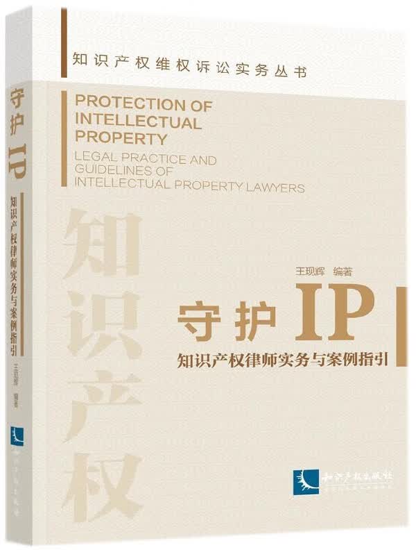 守护IP(知识产权律师实务与案例指引)/知识产权维权诉讼实务丛书