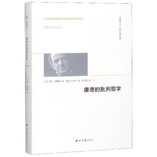 康德的批判哲学(精)/精神译丛