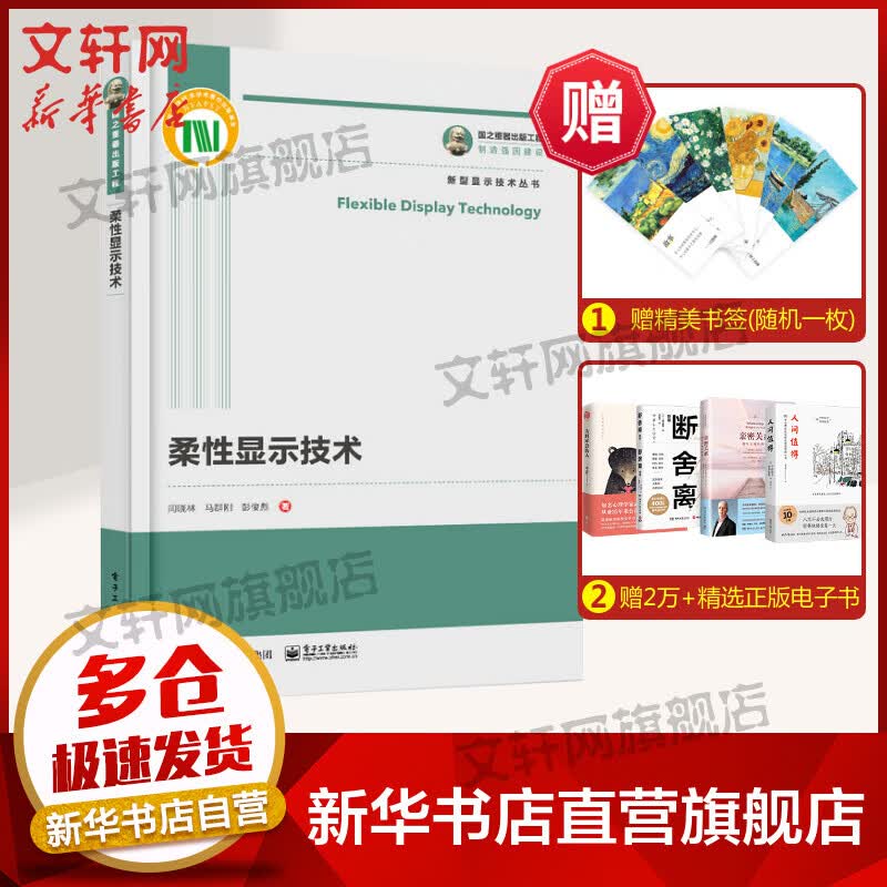 国之重器出版工程 柔性显示技术 图书