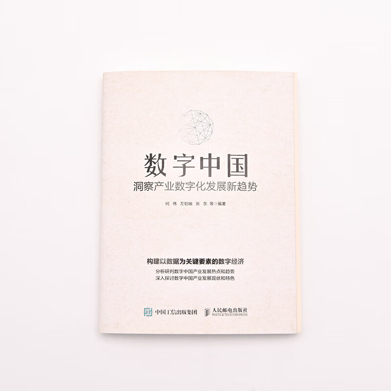 数字中国 洞察产业数字化发展新趋势 图书