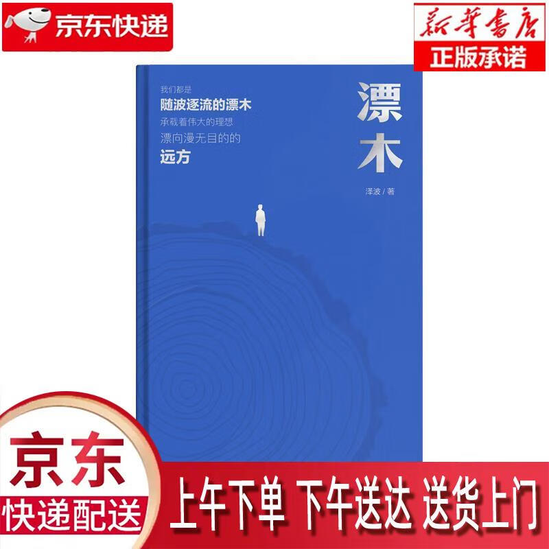 【新华畅销图书】漂木 泽波 成都时代出版社