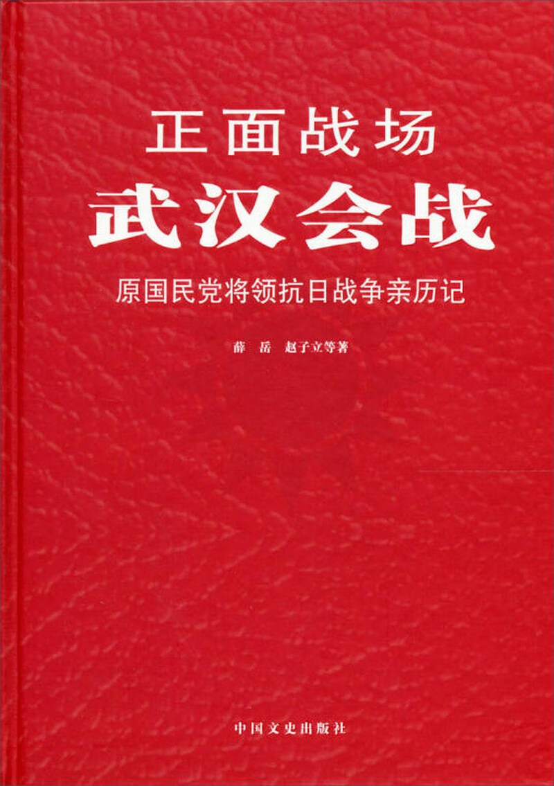 【书】正面战场 武汉会战