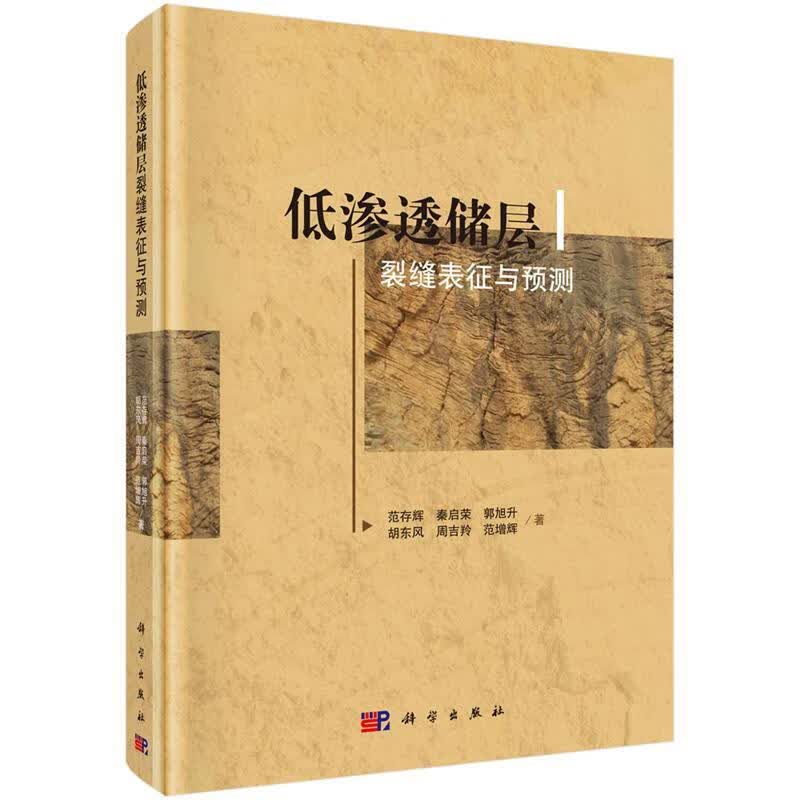 低渗透储层裂缝表征与预测(精)