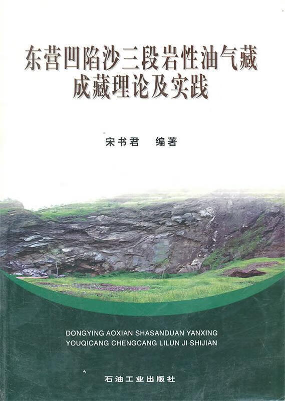 东营凹陷沙三段岩性油气藏成藏理论及实践
