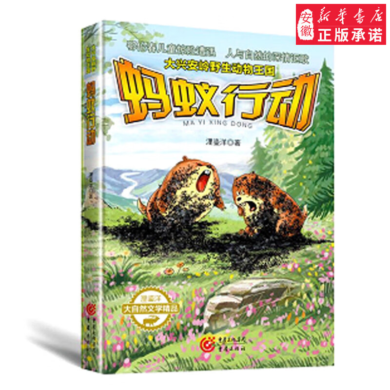 蚂蚁行动