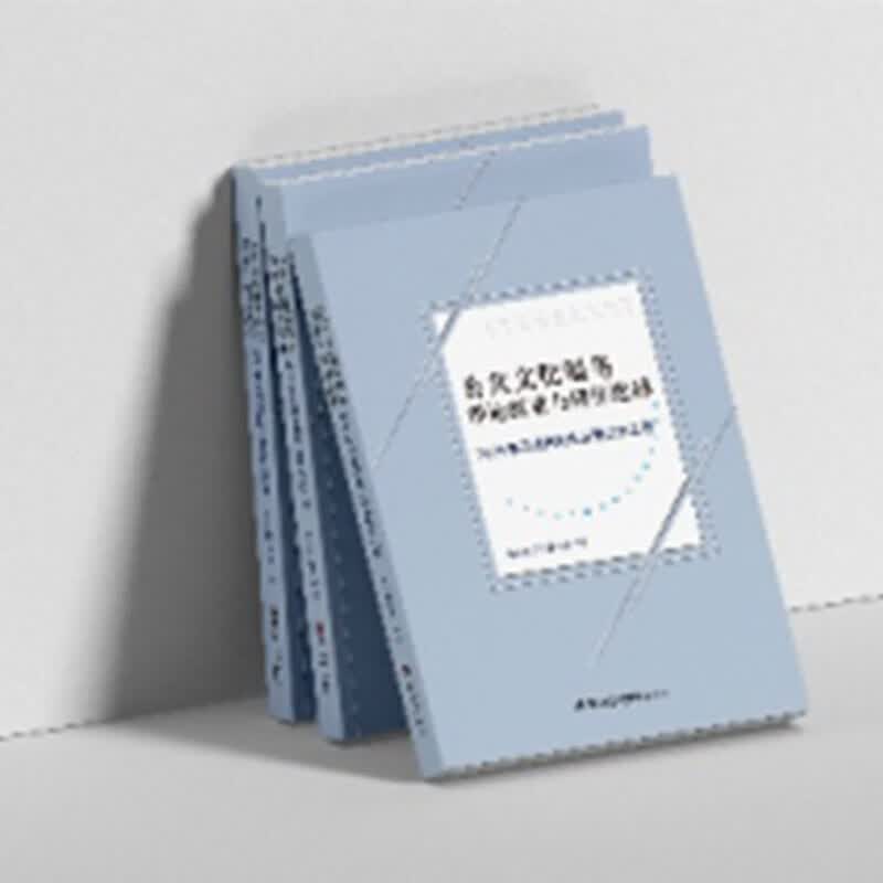 公共文化服务理论探索与路径选择 社会学书籍 公共管理书籍 天津社会科学院出版社