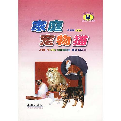 家庭宠物猫【现货】