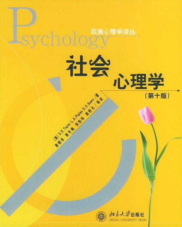 社会心理学：第十版