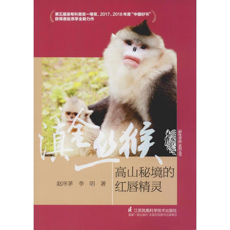 滇金丝猴 高山秘境的红唇精灵