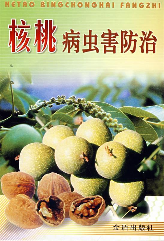 核桃病虫害防治