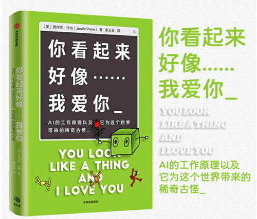 你看起来好像 我爱你 AI的工作原理以及它为这个世界带来的稀奇古怪 趣味科普读物 AI 人工智能 机器学习算法 中信
