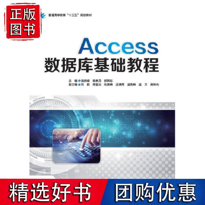 Access数据库基础教程（普通高等教育“十三五”规划教材）