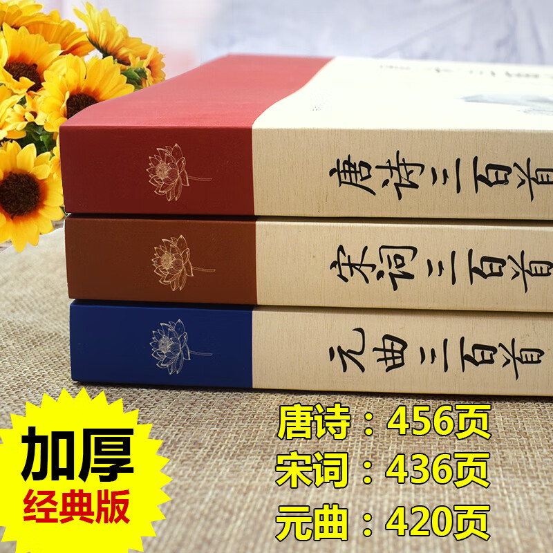 全3本完整版唐诗三百首全集宋词三百首元曲三百首典藏版中国古诗词鉴赏词典辞典赏析古代古典诗词唐