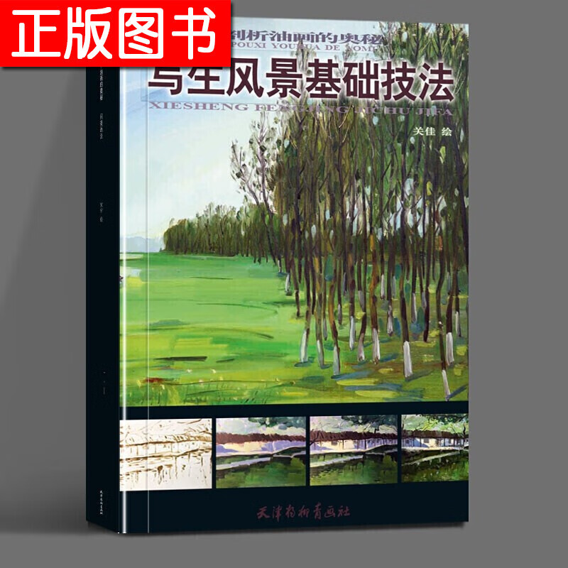 写生风景基础技法/剖析油画的奥秘 关佳 绘 天津杨柳青画社