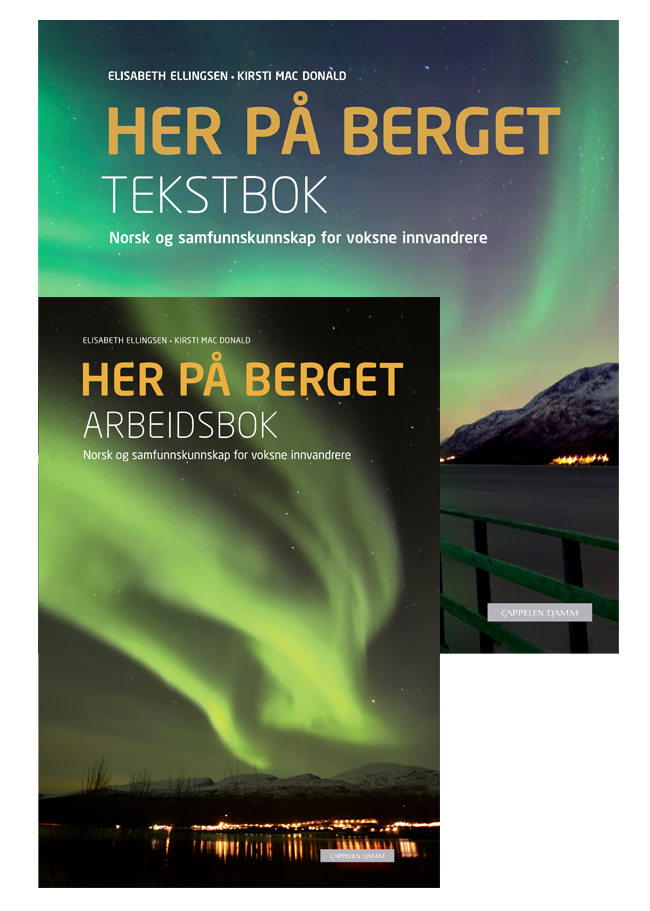 自学挪威语高阶教材Norwegian Norsk Her pa berget本土高级NO.3