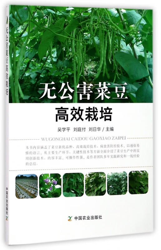 无公害菜豆高效栽培